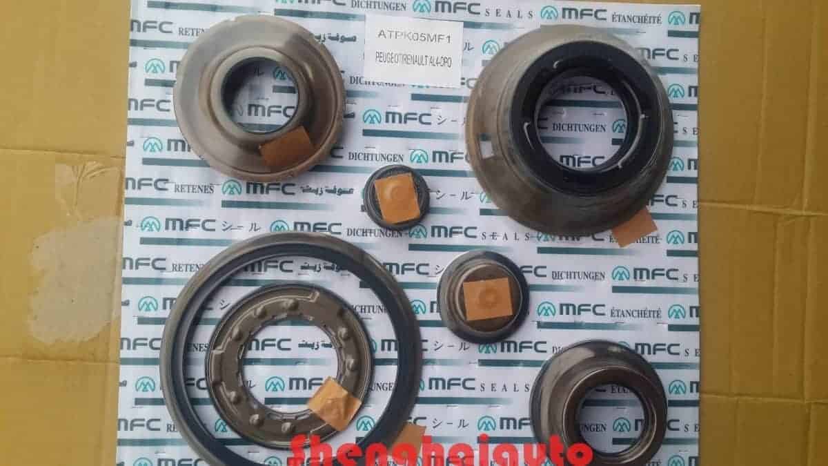 AL4 DPO Transmission Brake Drum - Sheng Hai Auto Parts Co., LTD.