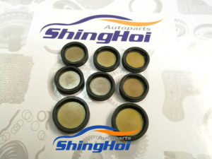 0BH301205D DQ500 0BT 0BH Front Cover - Sheng Hai Auto Parts Co., LTD.