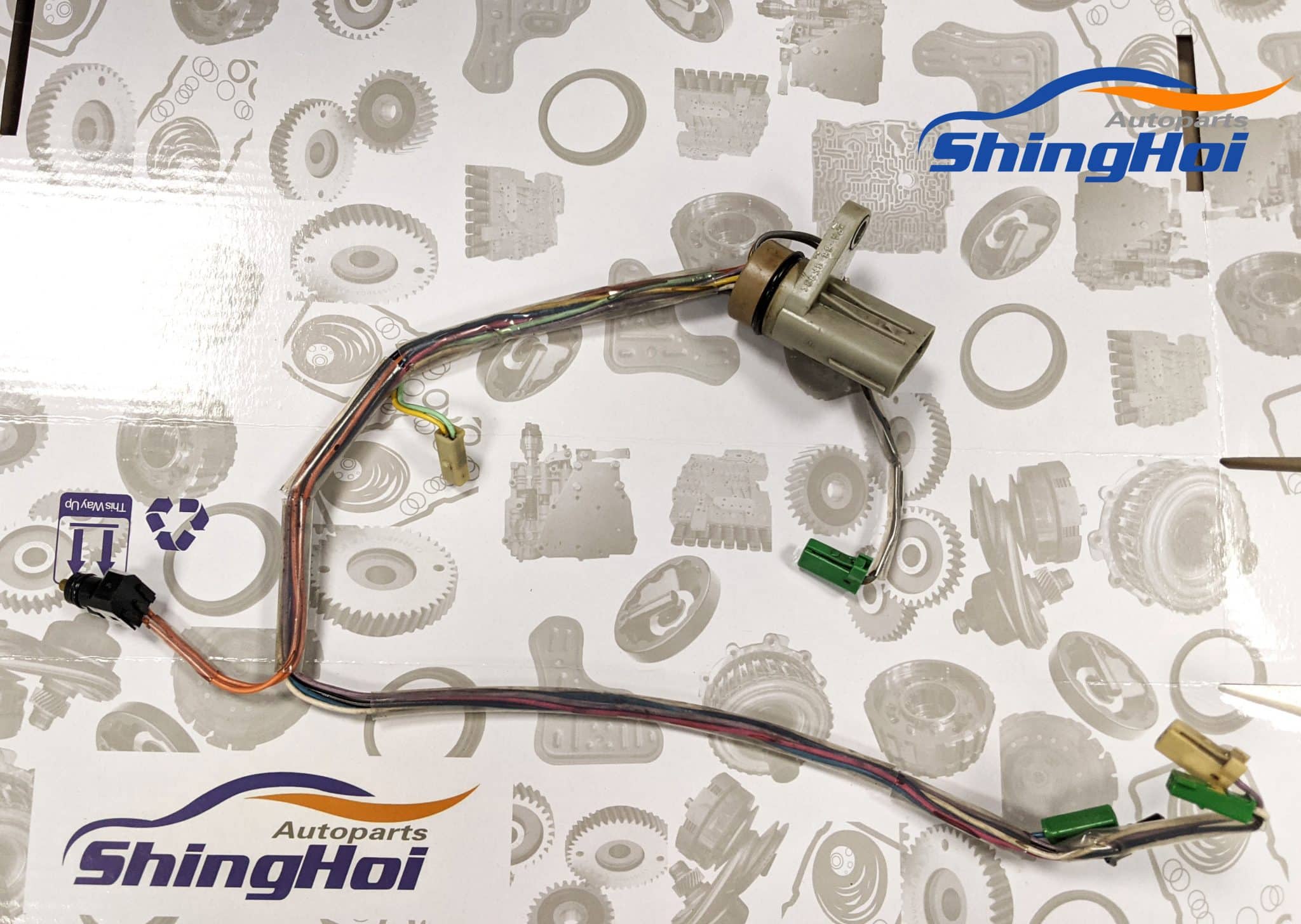 K313 Transmission Speed Sensor (NIN) - Sheng Hai Auto Parts Co., LTD.