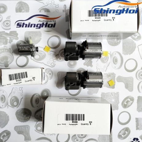 0B5 DL501 Transmission Repair Tool Kit - Sheng Hai Auto Parts Co., LTD.