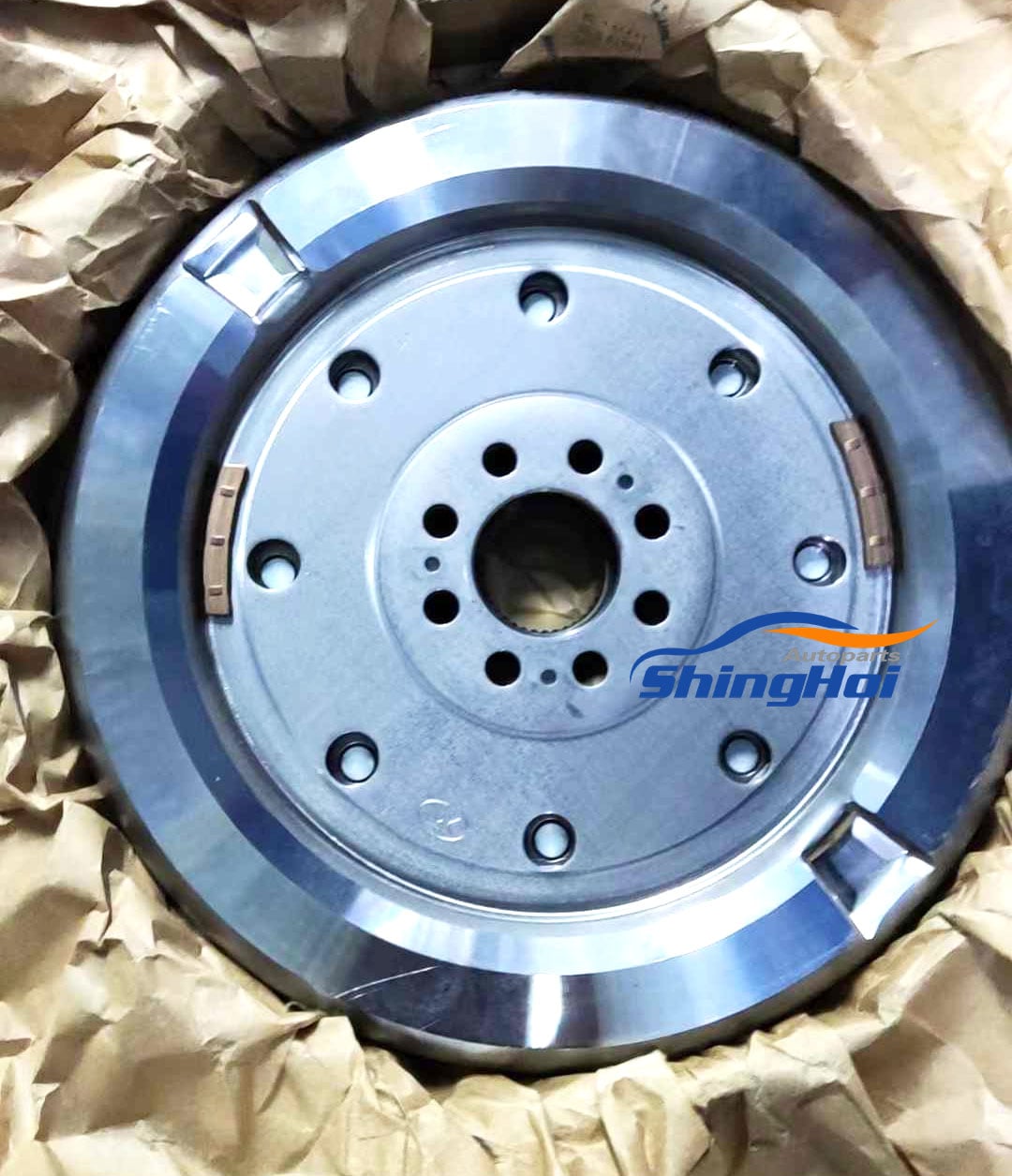 Nuovo LUK DQ381 0GC 0DW Volano di trasmissione a 8 fori e 135 denti per ...